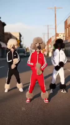 Magic Hour | Poodles do a hip-hop dance - Text-to-Video Template
